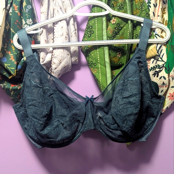 HISA | Intimates & Sleepwear | Hisa Enchante Floral Lace Underwire Bra ...